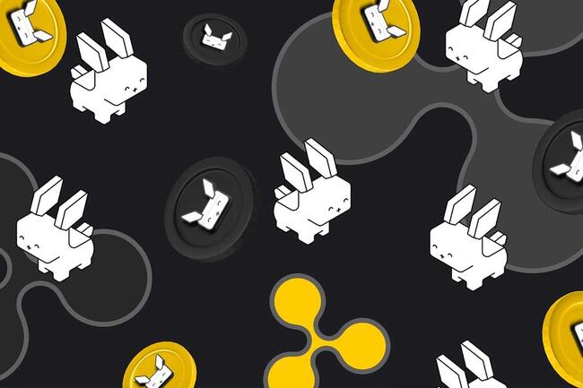 Flare Fiyatı: FLR Fiyat Grafiği, Piyasa Değeri ve Bugünkü Haberler | CoinGecko