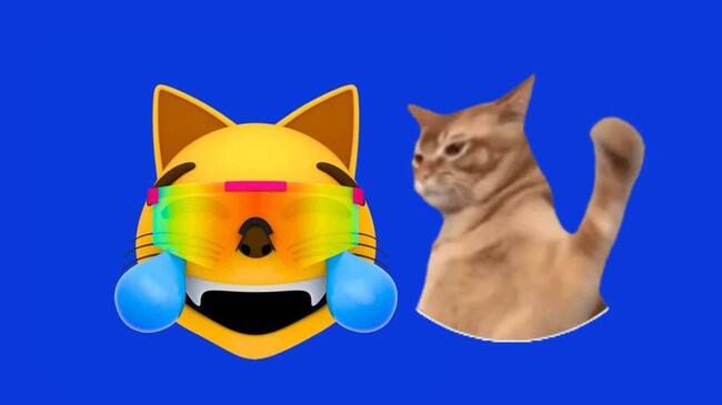 Mog Coin Price: MOG Live Price Chart, Market Cap & News Today | CoinGecko