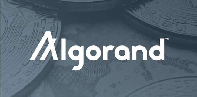 Algorand Price: ALGO Live Price Chart, Market Cap & News Today | CoinGecko
