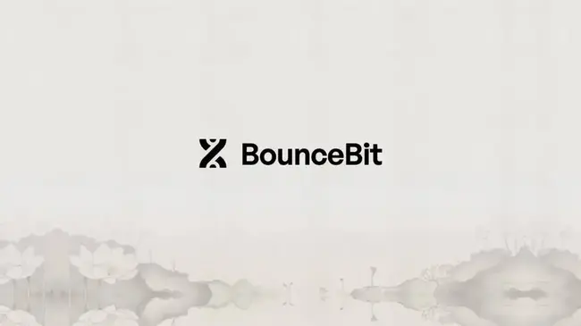 BounceBit Price: BB Live Price Chart, Market Cap & News Today | CoinGecko