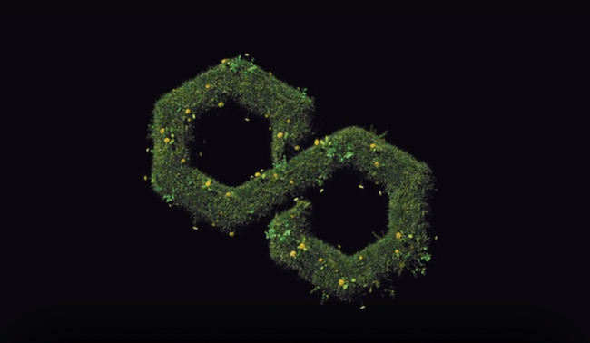 Polygon Price: MATIC Live Price Chart, Market Cap & News Today | CoinGecko