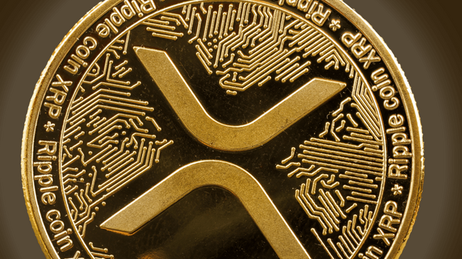 BOBO Coin Price: BOBO Live Price Chart, Market Cap & News Today | CoinGecko