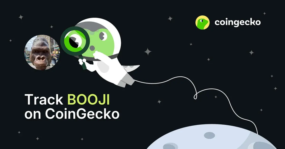 BOOJI Price: BOOJI Live Price Chart, Market Cap & News Today | CoinGecko