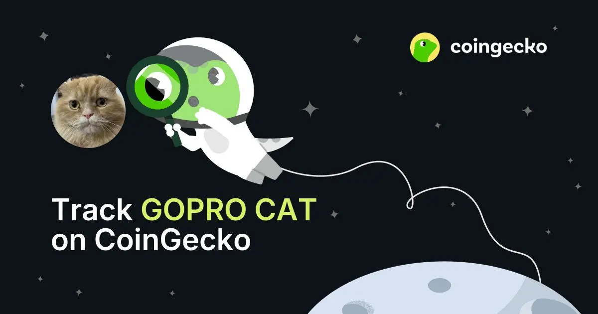 GOPRO CAT / USD: Valor OSCAR para US Dollar Hoje | CoinGecko