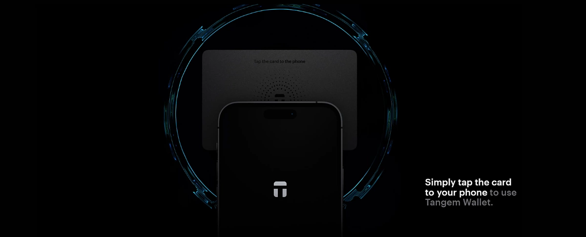 Top 8 Cold Wallets to Store Your Crypto | CoinGecko