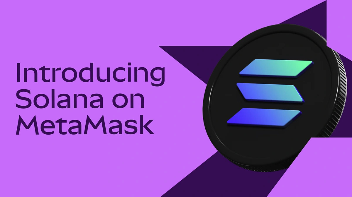 Top 8 Solana Wallets To Store Your SOL and Solana NFTs | CoinGecko